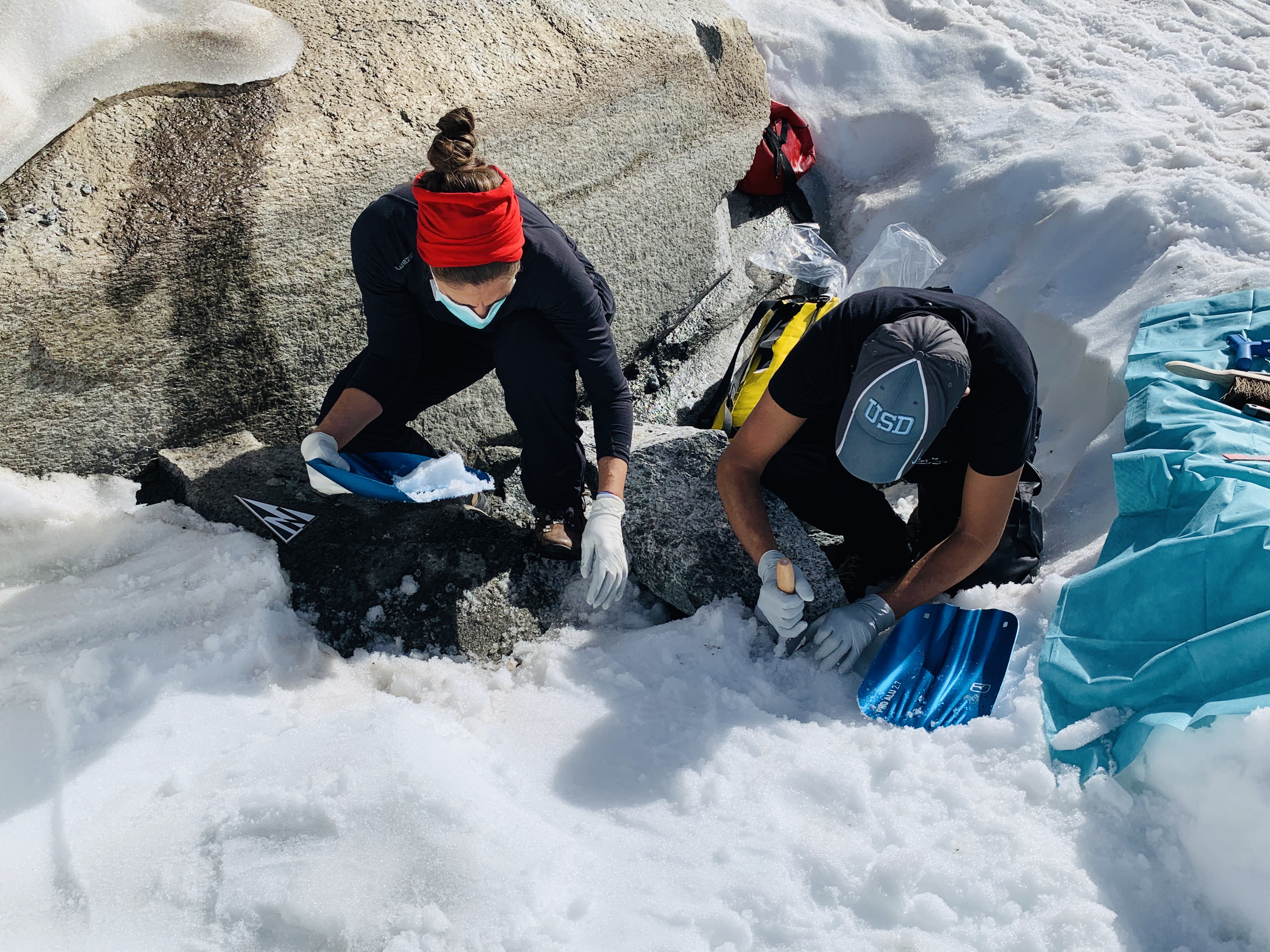 A 400-year-old chamois will serve as a model for research on ice mummies