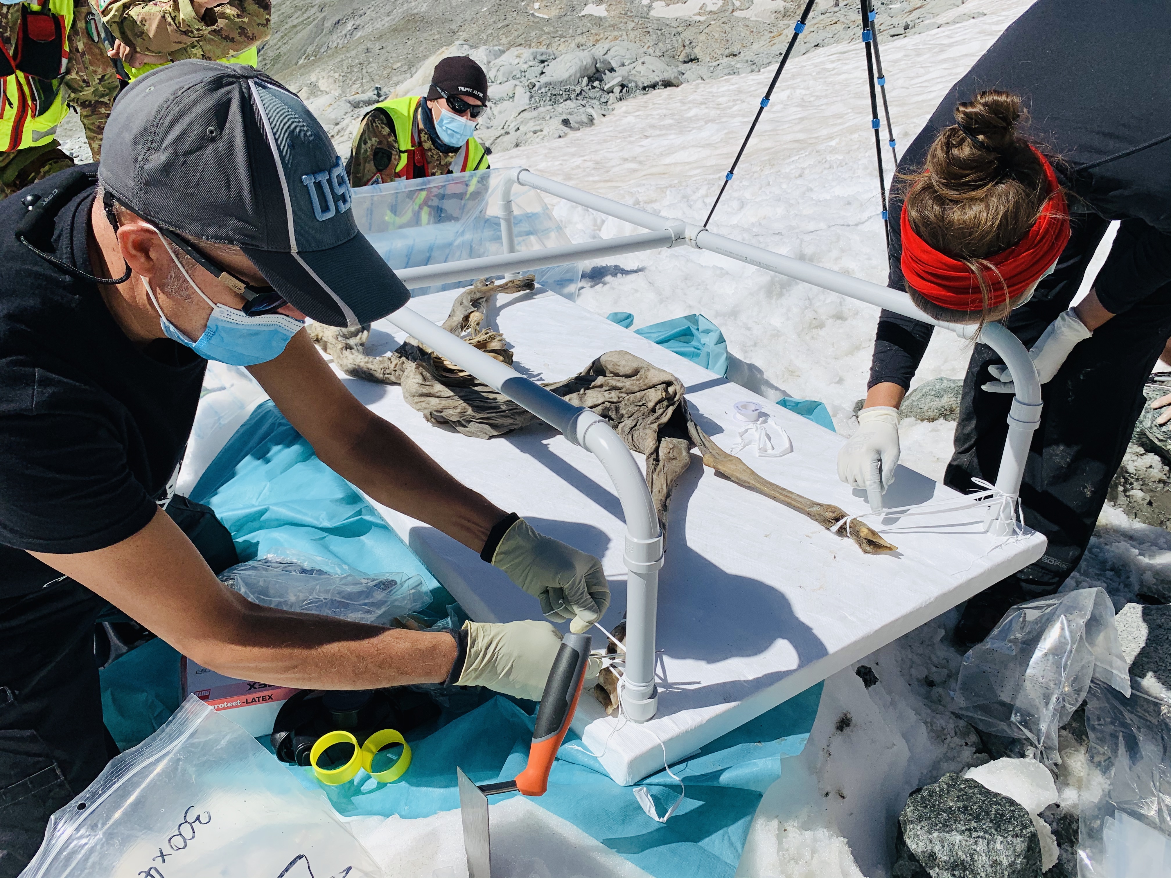 A 400-year-old chamois will serve as a model for research on ice mummies