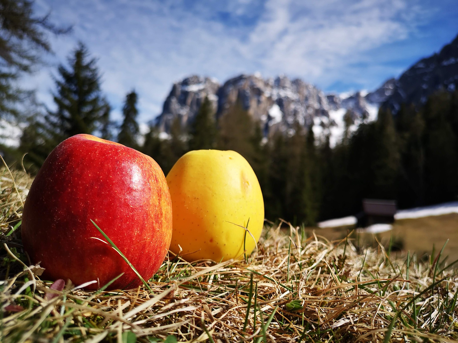 Why Alpine Food Needs Quality Terms - Eurac Research