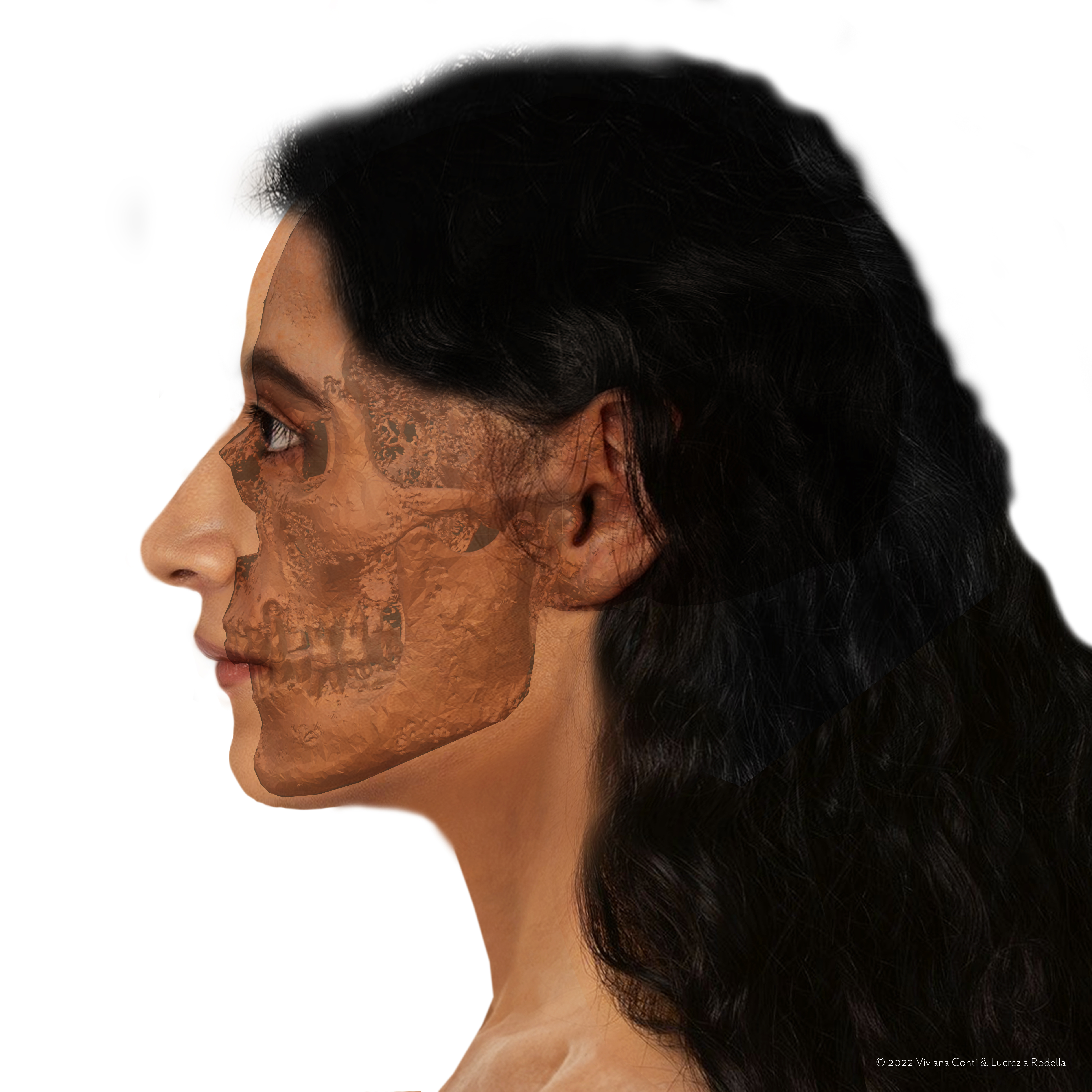 An interdisciplinary study