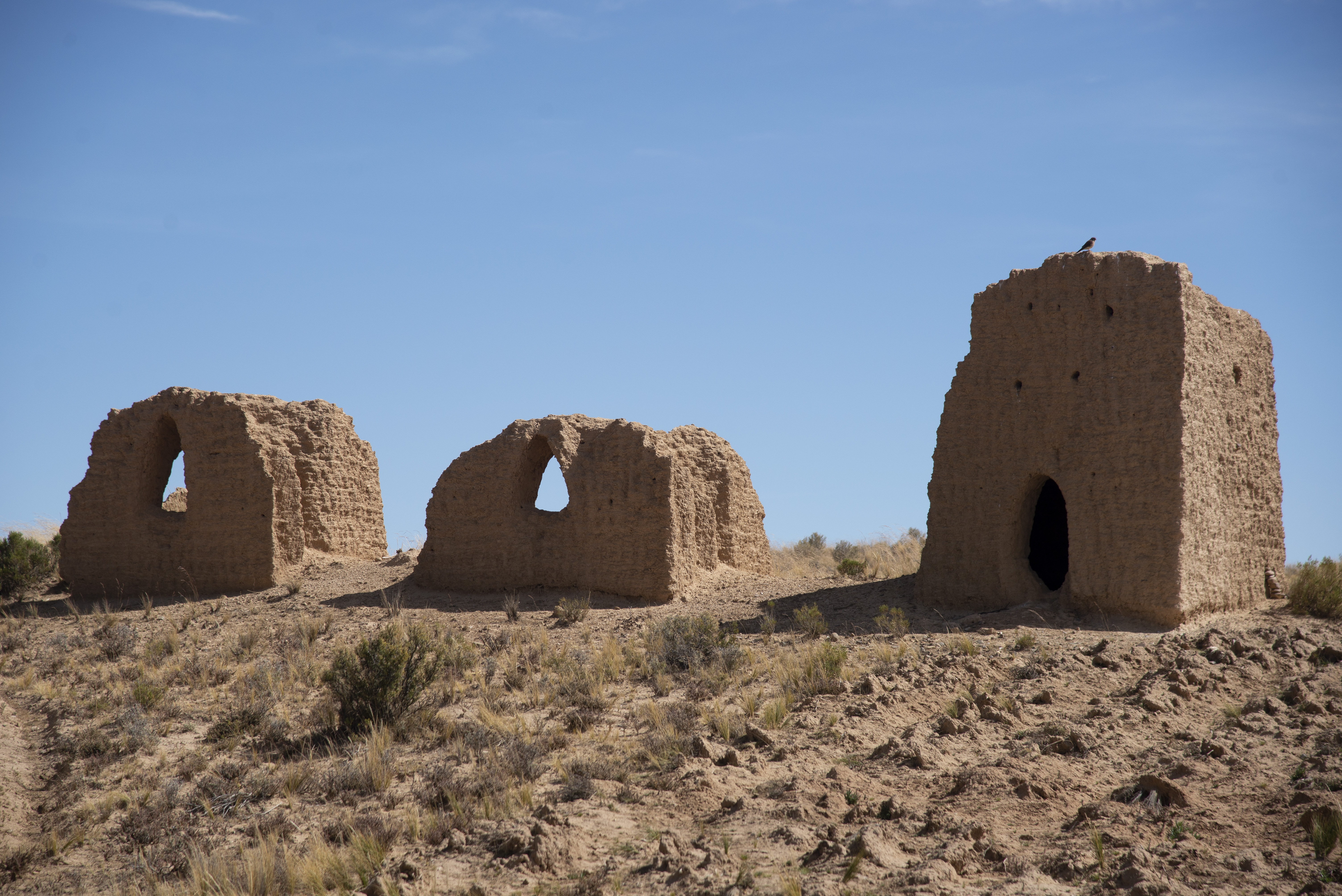 New technology for Bolivia's ancient mummies