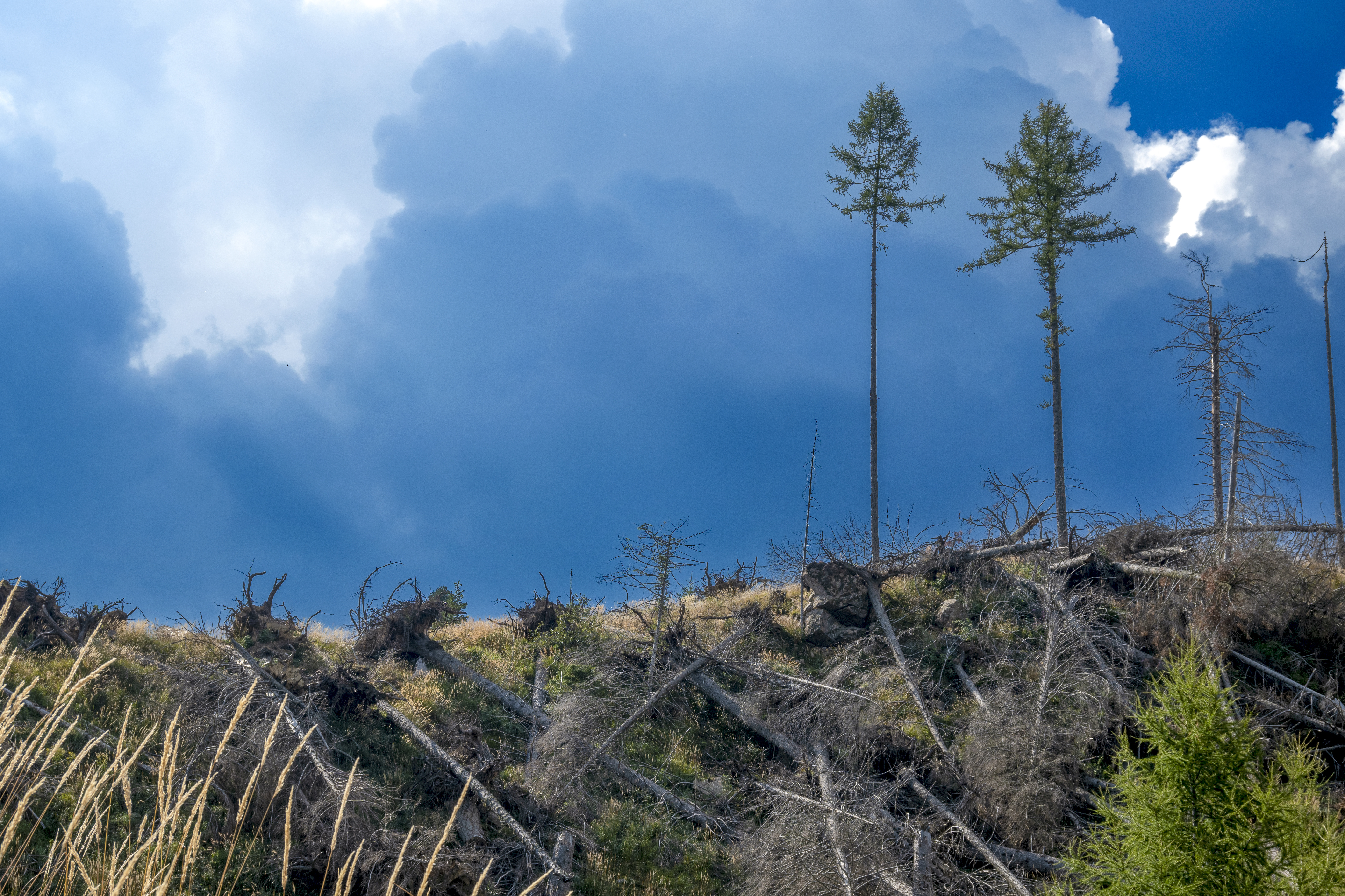 What is an extreme event? - Eurac Research