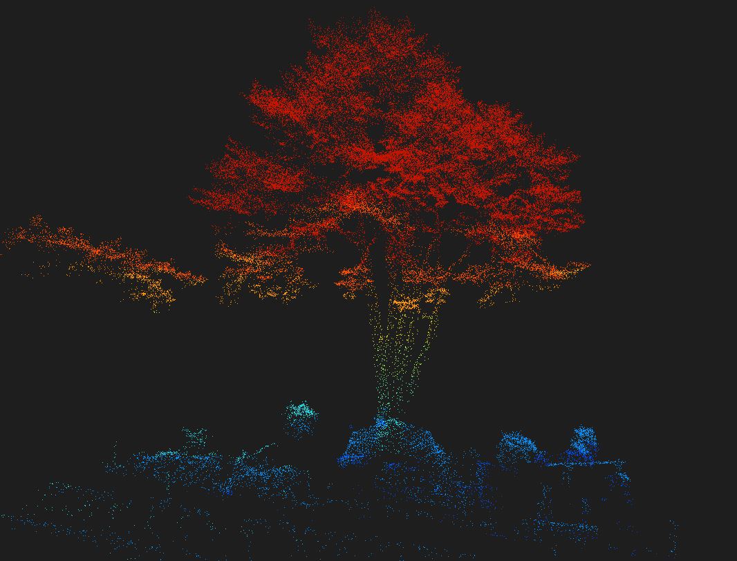 Un albero, una foto - Eurac Research