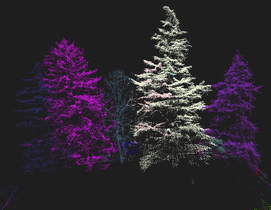 Un albero, una foto - Eurac Research