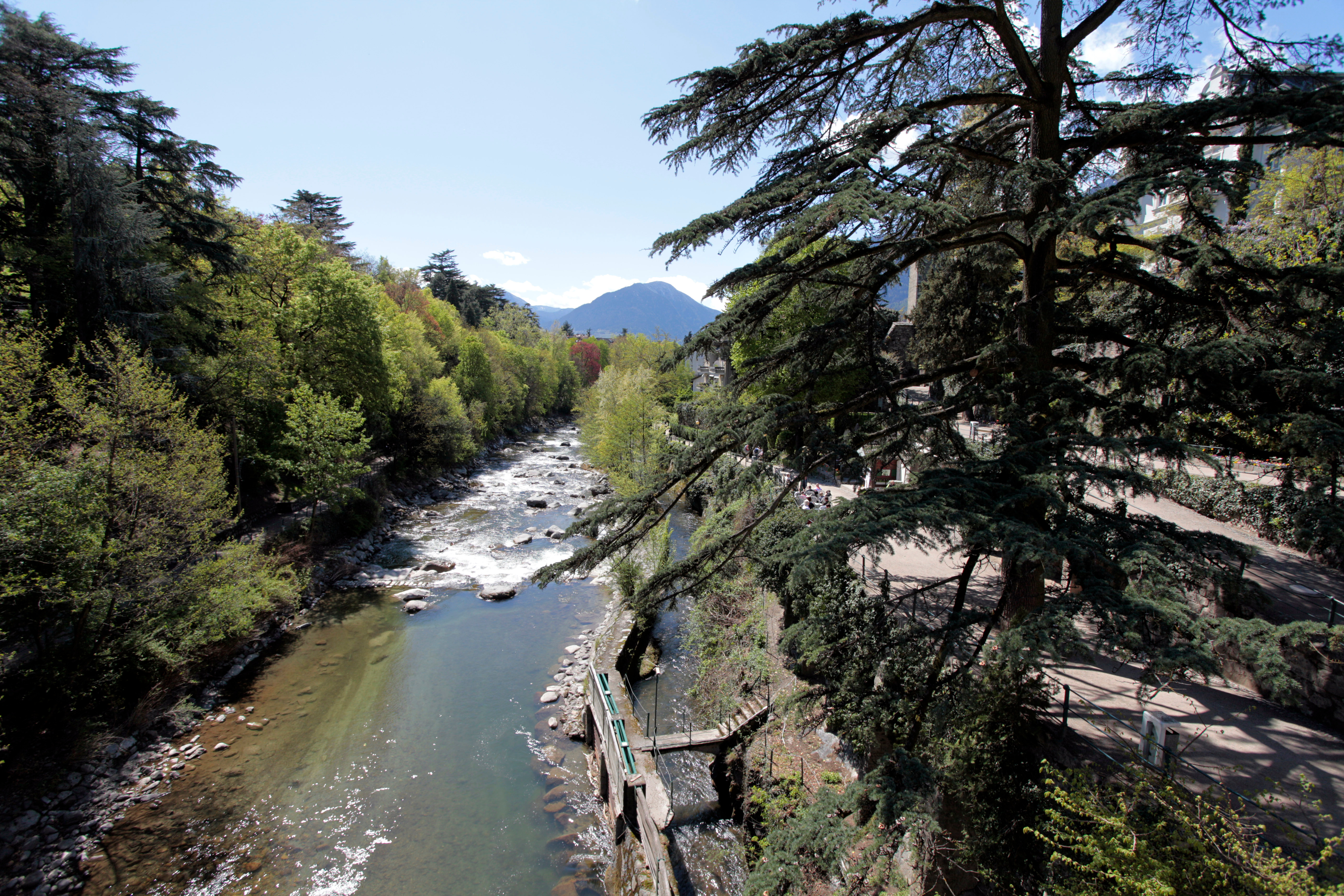 Un albero, una foto - Eurac Research