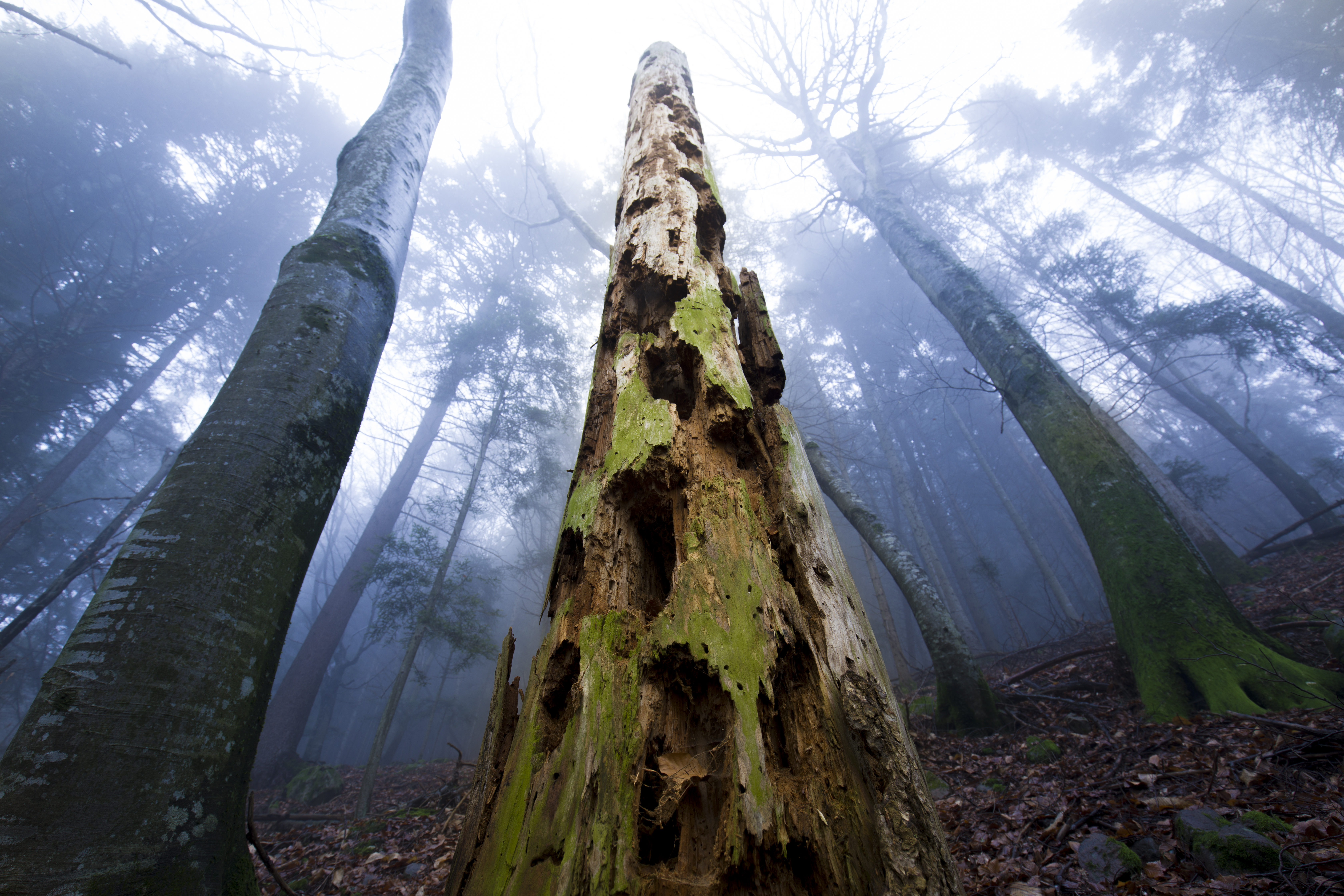 Das Echo des Todes - Eurac Research