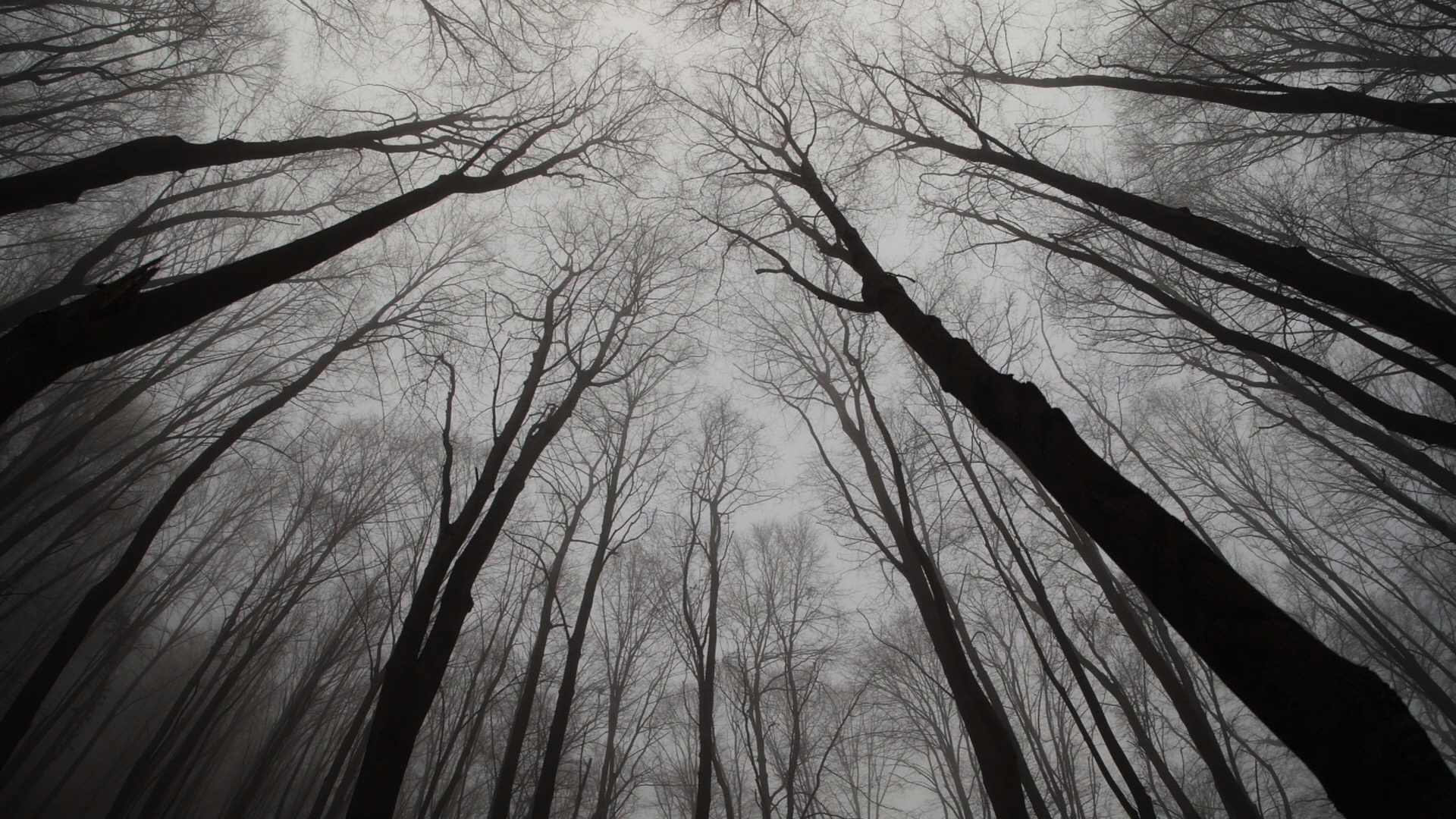 Eurac Research - Eurac Research